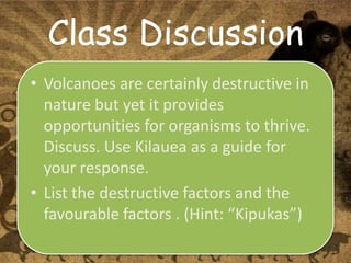 The Environment - Lesson 2 - Unfavourable and Favourable Conditions in ...