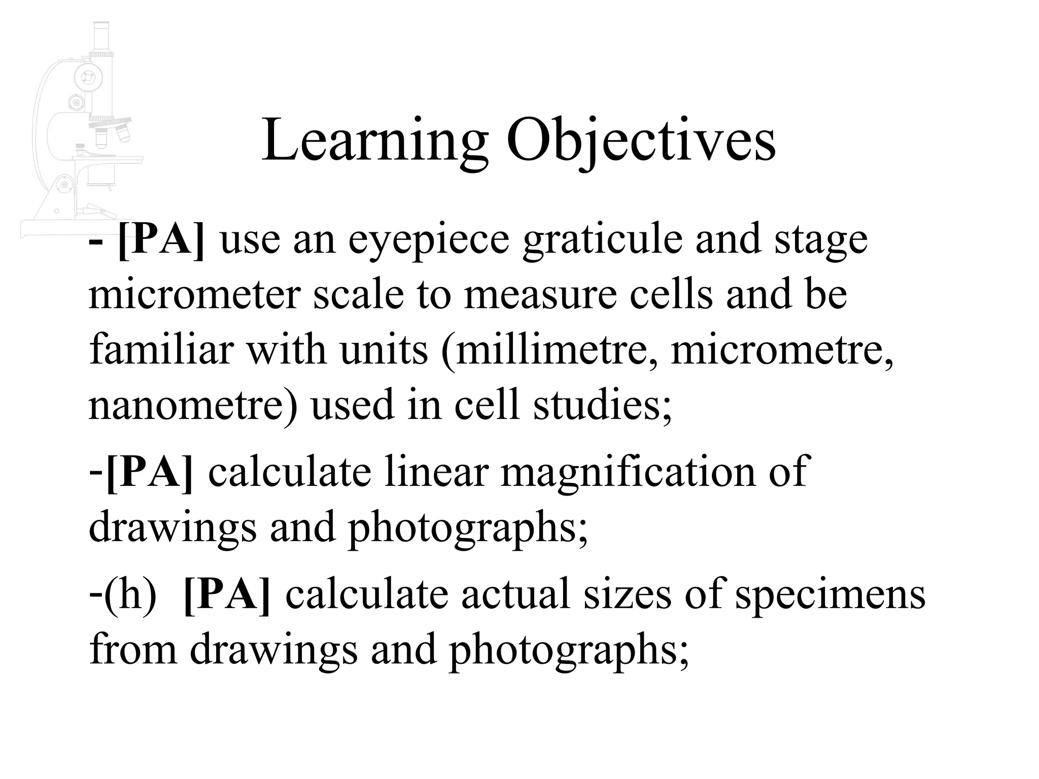 AS Biology Lesson 2 - Measuring Cells | PPT