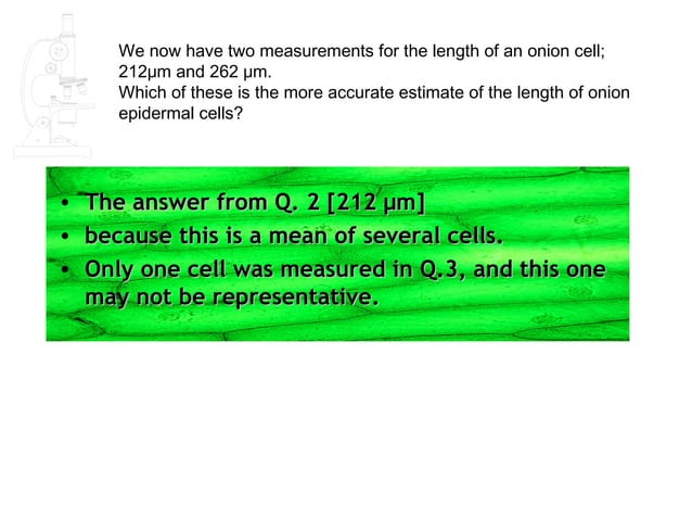 AS Biology Lesson 2 - Measuring Cells | PPT | Physics | Science