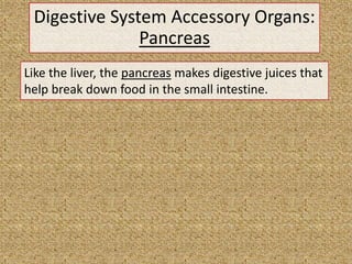 Digestive System Accessory Organs | PPTX