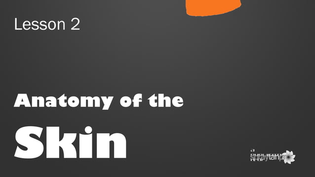 Lesson2- Spray Tanning -Layers of the skin & Functions of the skin | PPT