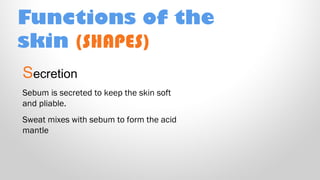 Lesson2- Spray Tanning -Layers of the skin & Functions of the skin | PPT