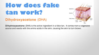Lesson2- Spray Tanning -Layers of the skin & Functions of the skin | PPT