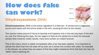 Lesson2- Spray Tanning -Layers of the skin & Functions of the skin | PPT