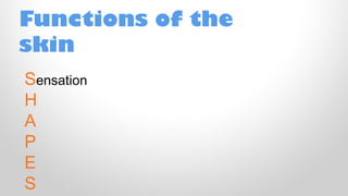 Lesson2- Spray Tanning -Layers of the skin & Functions of the skin | PPT