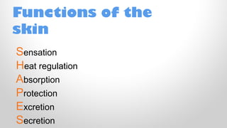 Lesson2- Spray Tanning -Layers of the skin & Functions of the skin | PPT