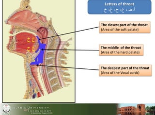Articulation points of Arabic alphabet | PPTX