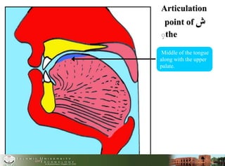 Articulation points of Arabic alphabet | PPTX