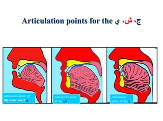 Articulation points of Arabic alphabet | PPTX