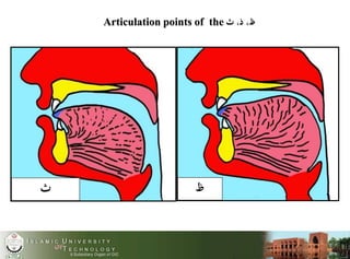 Articulation points of Arabic alphabet | PPTX