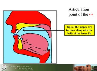 Articulation points of Arabic alphabet | PPTX