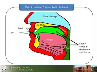 Articulation points of Arabic alphabet | PPTX
