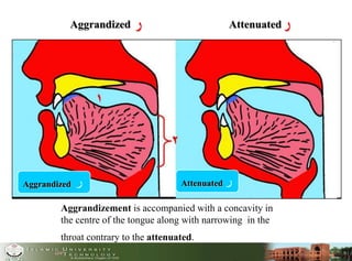 Articulation points of Arabic alphabet | PPT