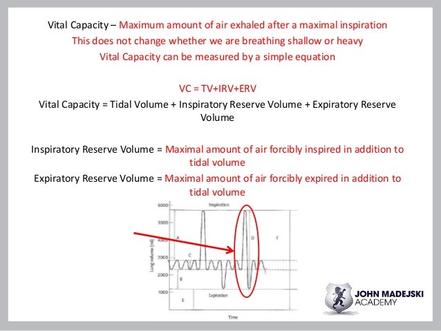 Lesson 2. lung volumespptx