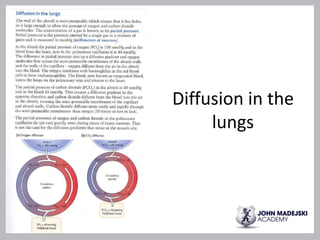 Lesson 2. lung volumespptx | PPT