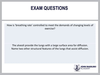 Lesson 2. lung volumespptx | PPT