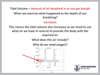 Lesson 2. lung volumespptx | PPT