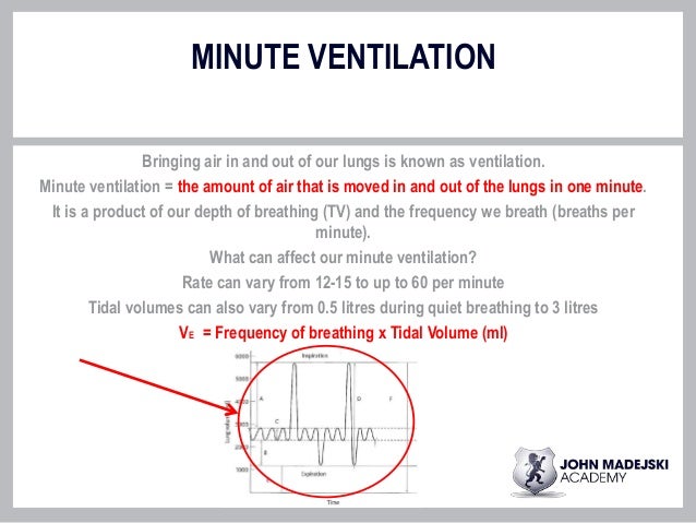 Lesson 2. lung volumespptx