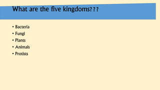 The Five Kingdoms | PPT