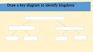 The Five Kingdoms | PPT
