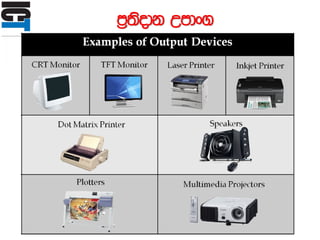 ICT in Sinhala | PDF