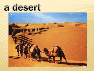 Form 5. Unit 8. Lesson 2. Different places | PPTX