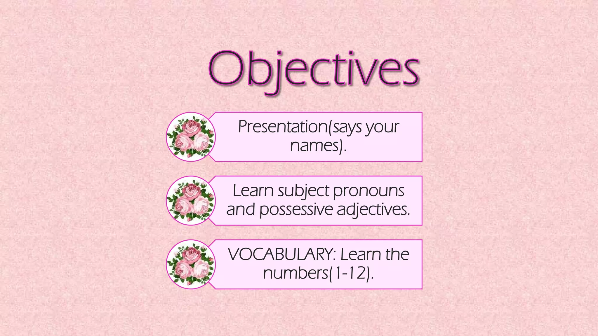 WHAT´S YOUR NAME-SUBJECT PRONOUN-POSSESSIVE PRONOUN-NUMBERS | PDF