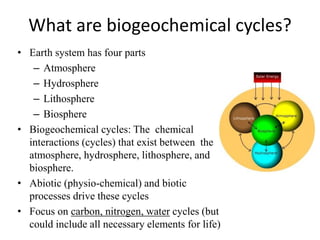 Lesson 2. biogeochemical cycles | PDF