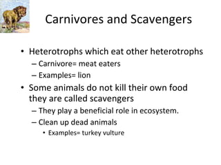 Lesson 2.2. ecology | PPT