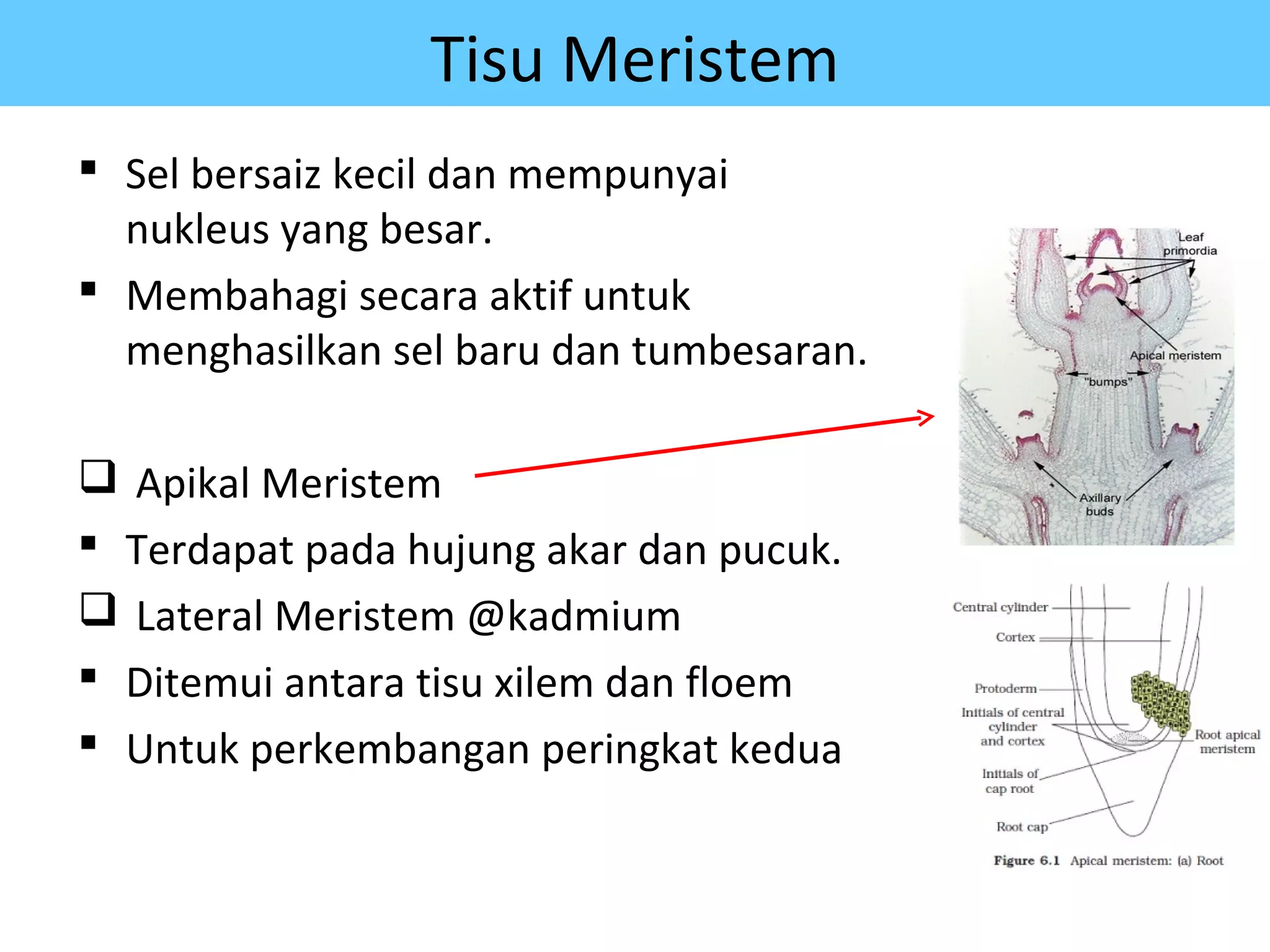 Lesson 2.2 part 2 | PPT