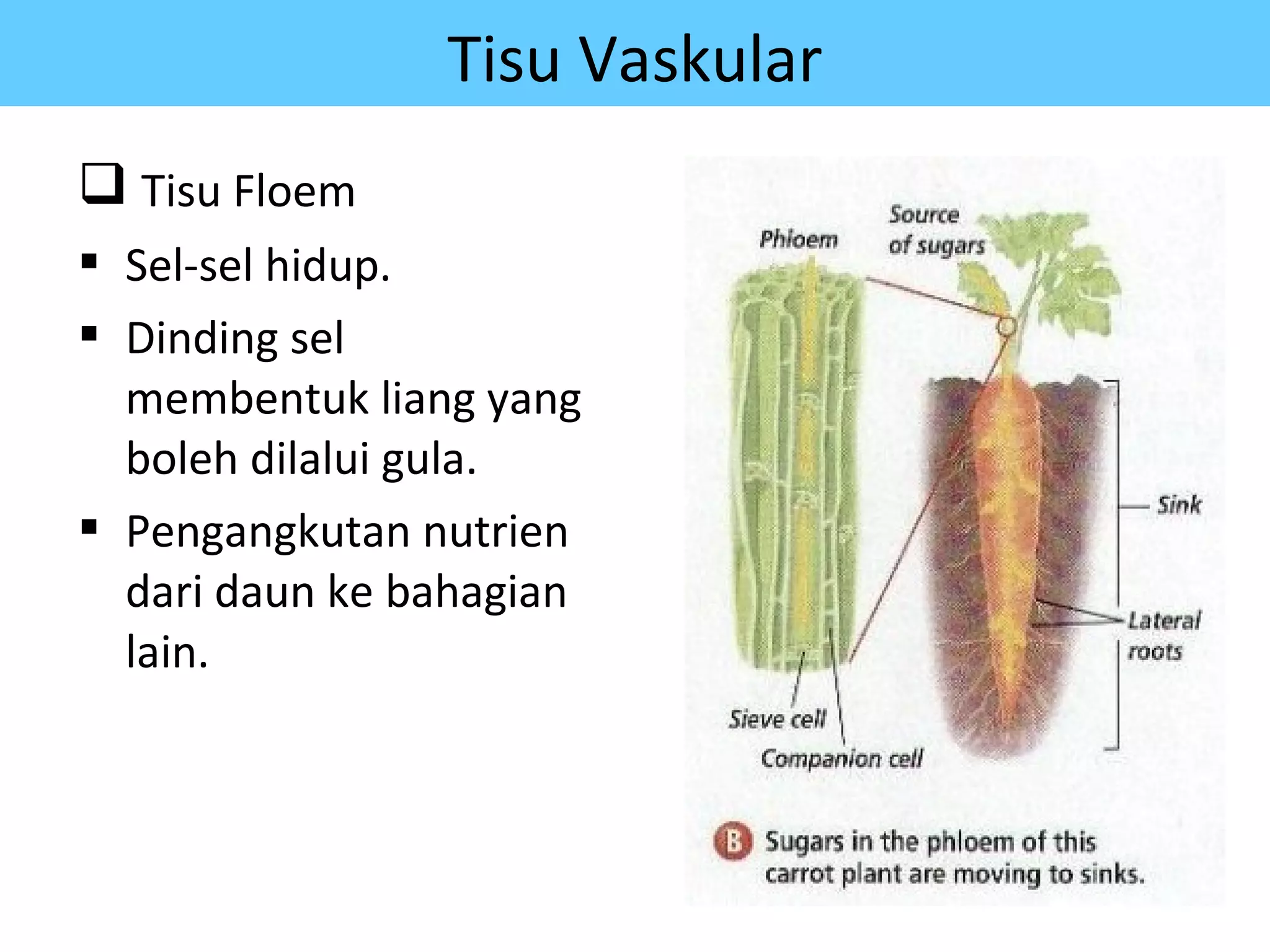 Lesson 2.2 part 2 | PPT