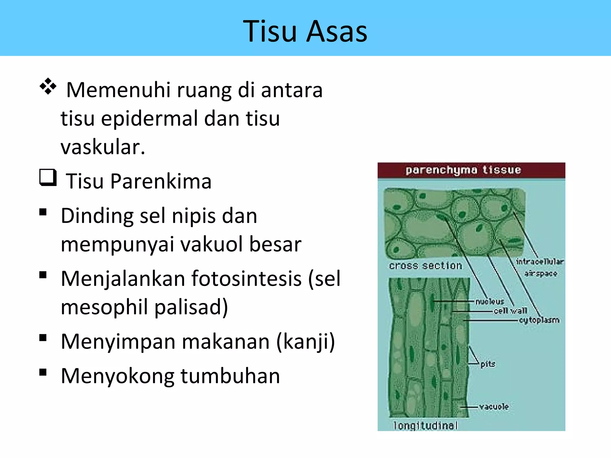 Lesson 2.2 part 2 | PPT