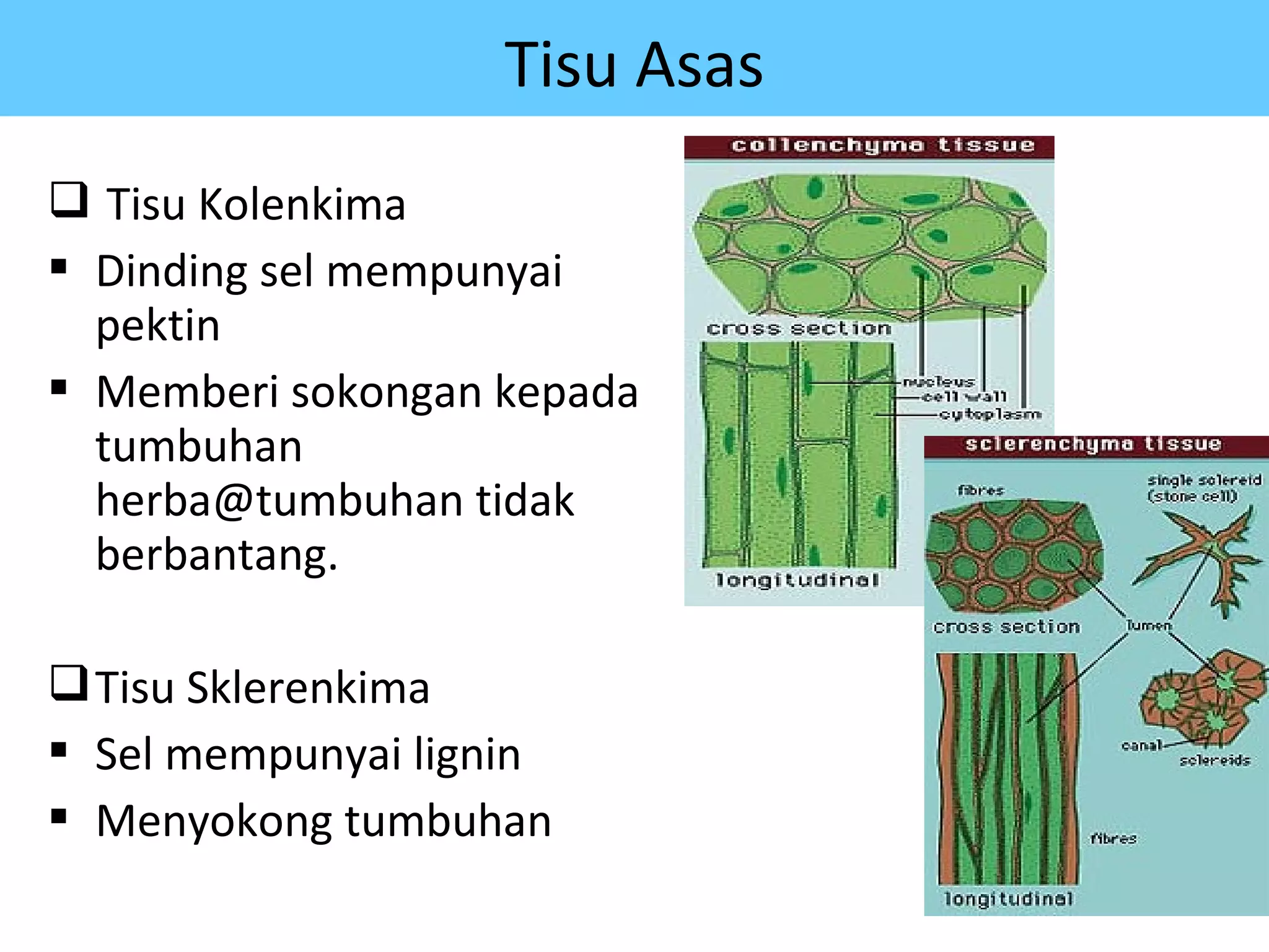 Lesson 2.2 part 2 | PPT