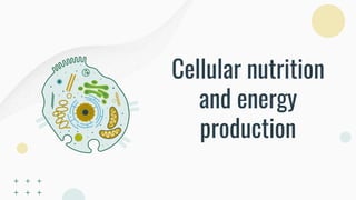 Cellular Functions PPT what are cellular functions | PPTX