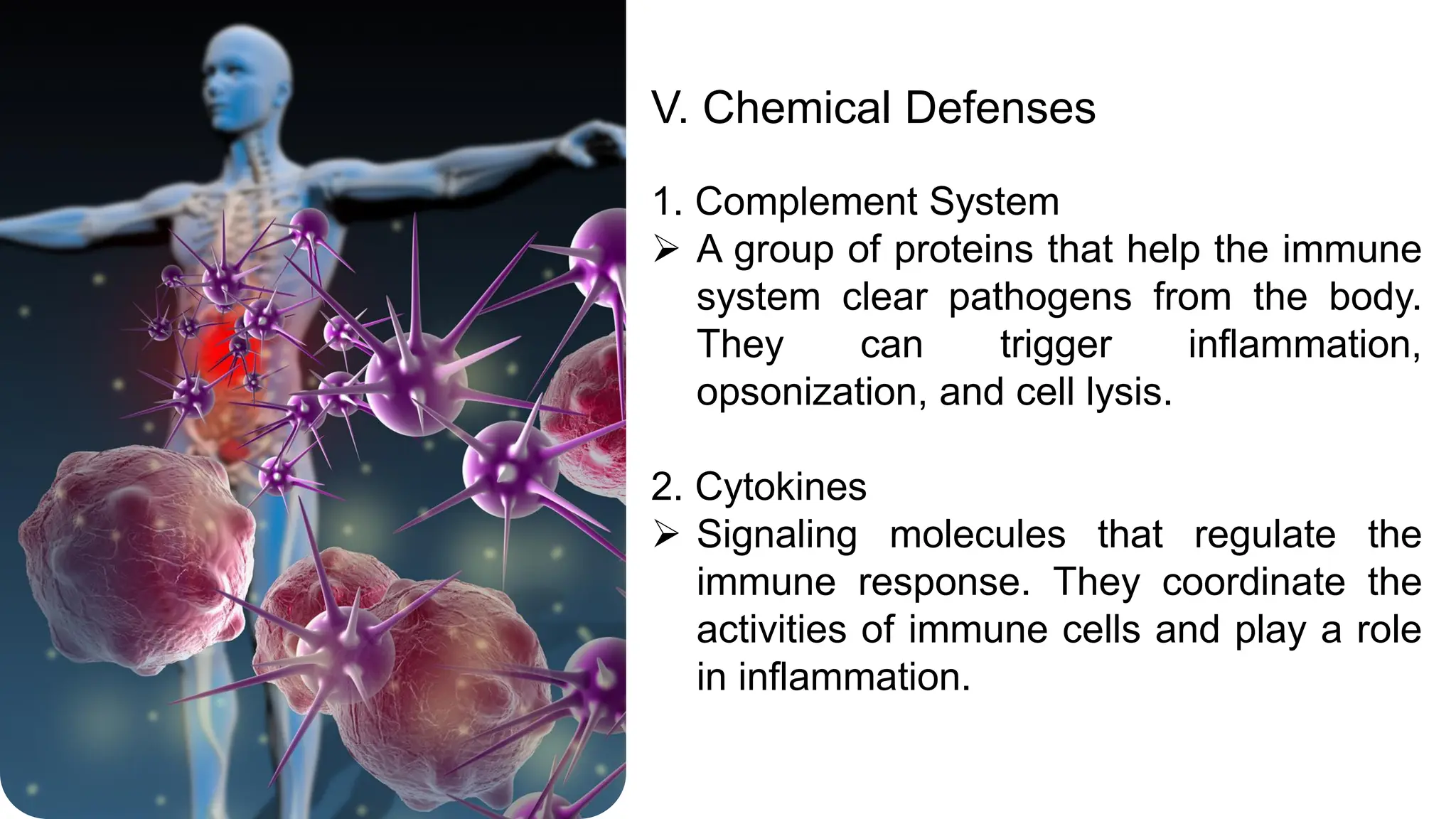 Lesson 2. Infection and Host Resistance.pdf