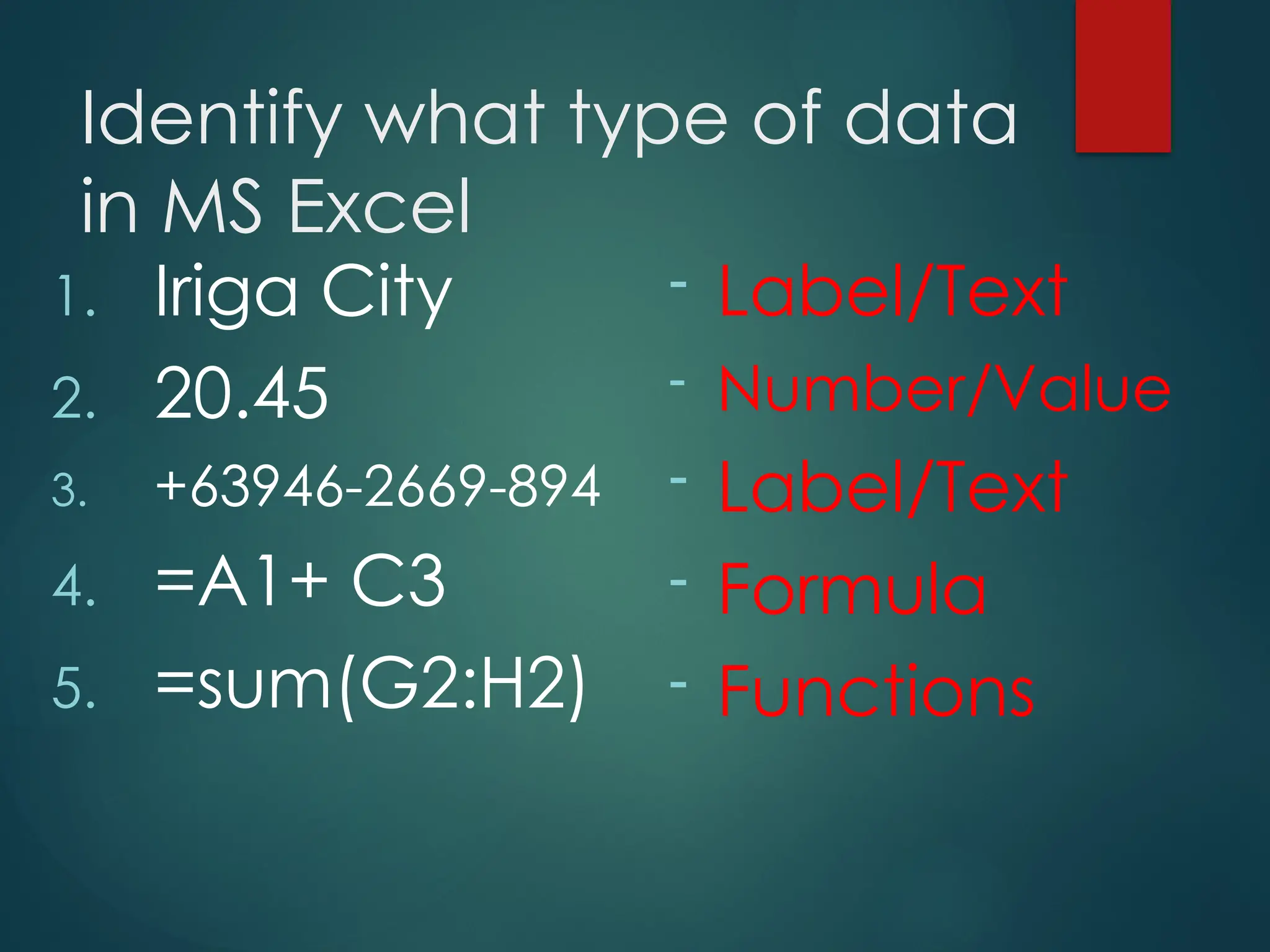 Lesson#2.2 - Excel Data Types and Mouse Pointers.pptx