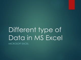 Lesson#2.2 - Excel Data Types and Mouse Pointers.pptx
