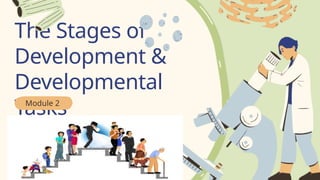The Stages of Development & Developmental Tasks | PPTX | Pregnancy ...