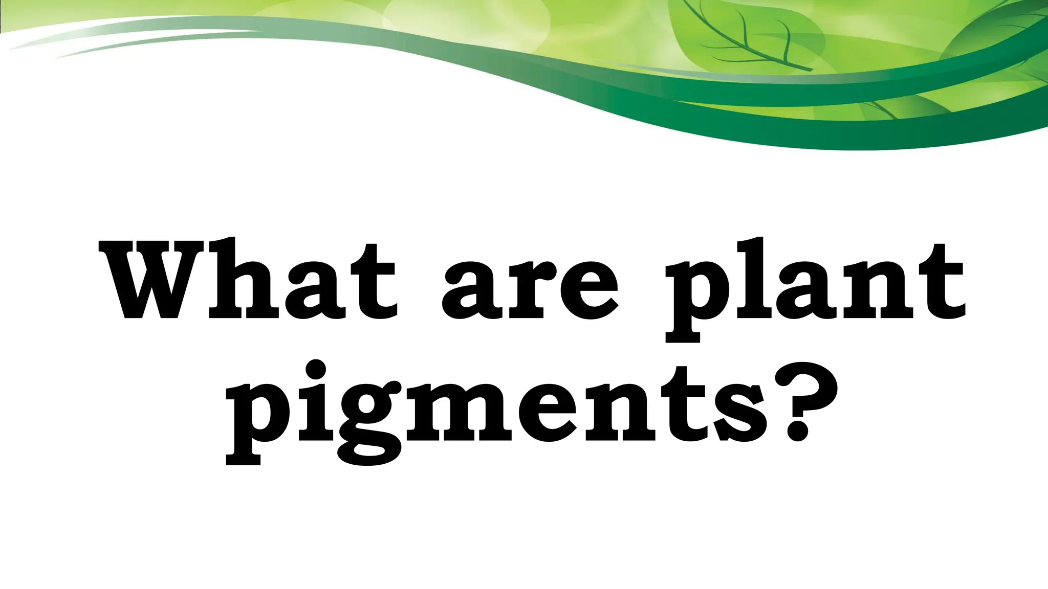 Lesson 2.3-IMPORTANT PLANT PIGMENTS IN PHOTOSYNTHESIS.pdf