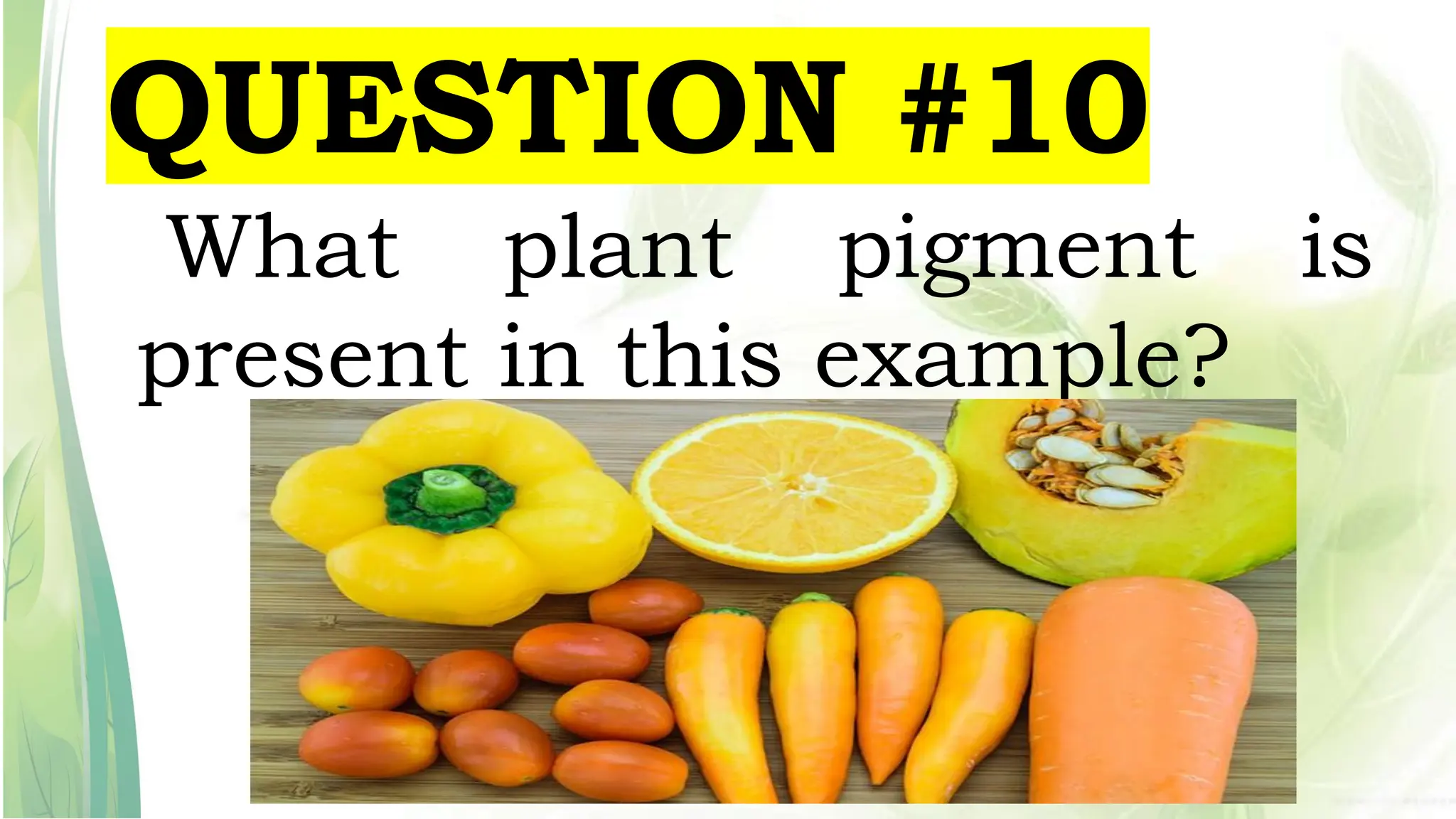 Lesson 2.3-IMPORTANT PLANT PIGMENTS IN PHOTOSYNTHESIS.pdf