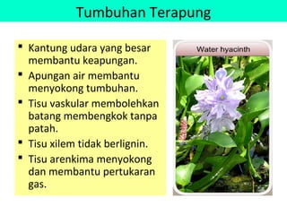 Lesson 2.3 | PPT