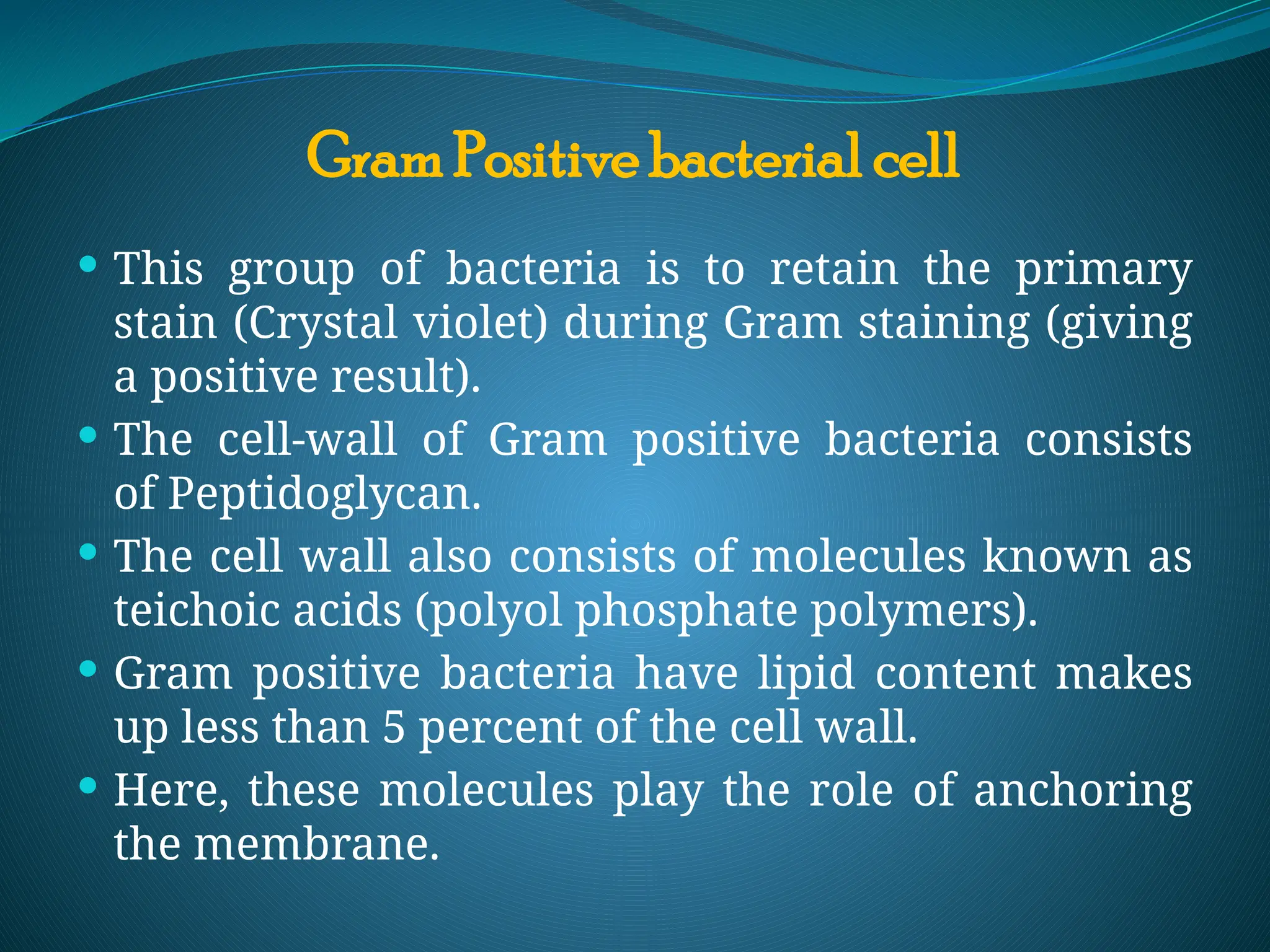 Lesson 2- Bacteria structuresLesson 2- Bacteria structuresLesson 2 ...