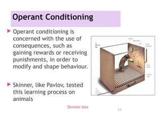 Behaviourist oprant conditioning | PPT
