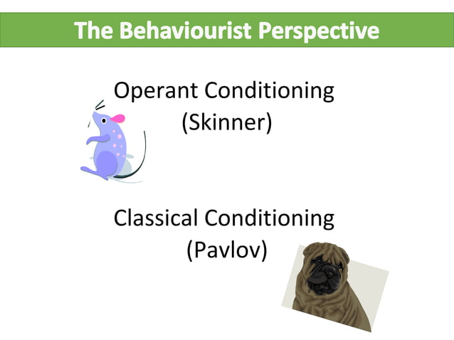 Behaviourist oprant conditioning | PPT
