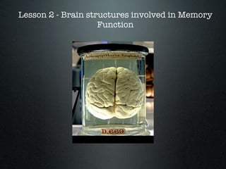 Lesson 2 brain structures involved in memory function 2015 | PPT