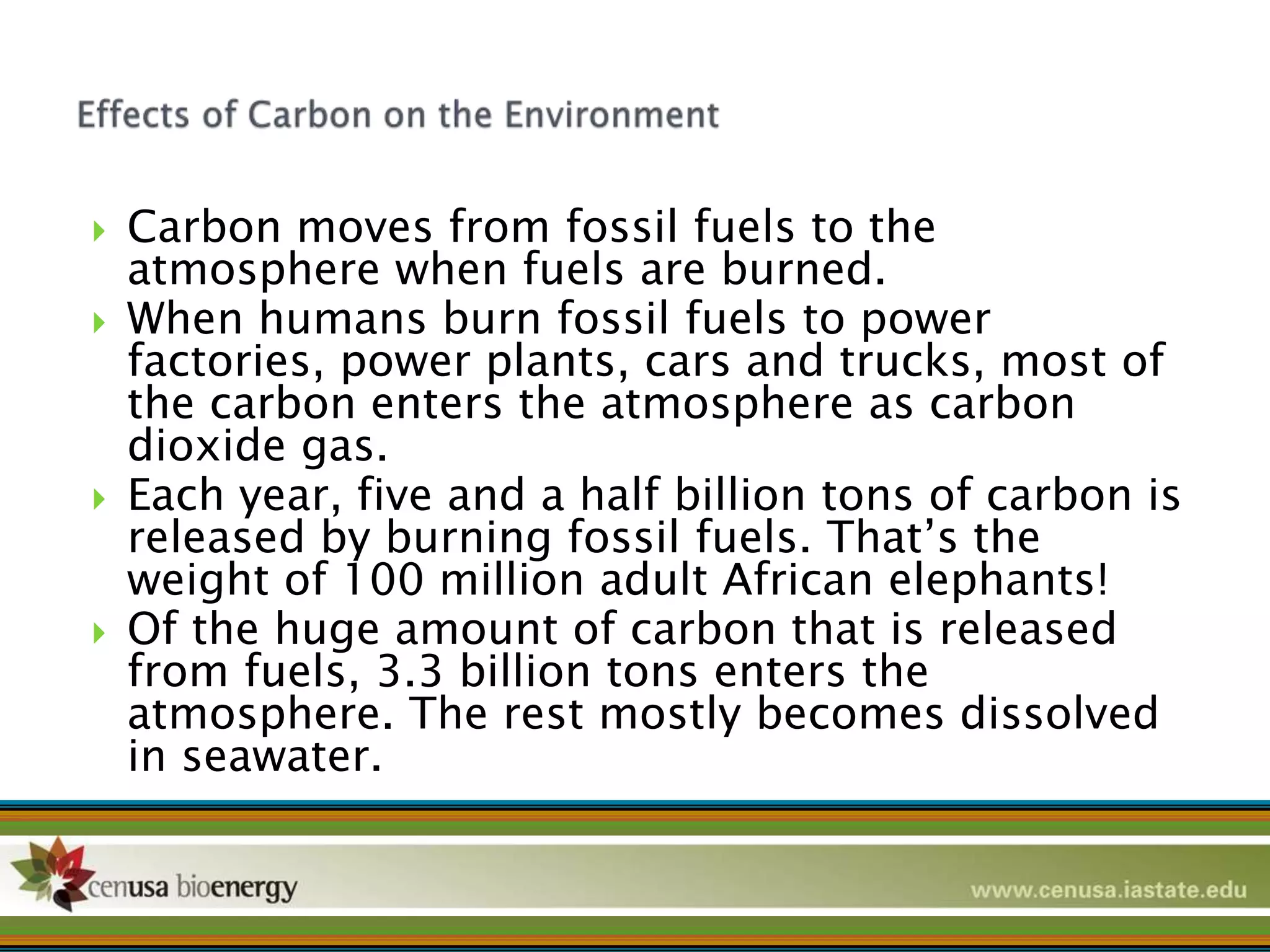 Lesson 2-Carbon Cycle.pptx
