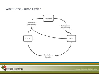 Lesson 2-Carbon Cycle.pptx