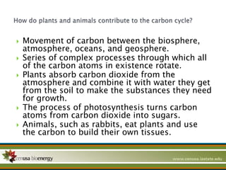 Lesson 2-Carbon Cycle.pptx