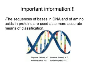 Lesson 2 classification systems | PDF