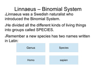 Lesson 2 classification systems | PDF